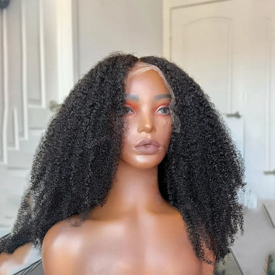 Robin Preplucked Hairline Afro Kinky Curly Human Hair 360 Lace Front ...